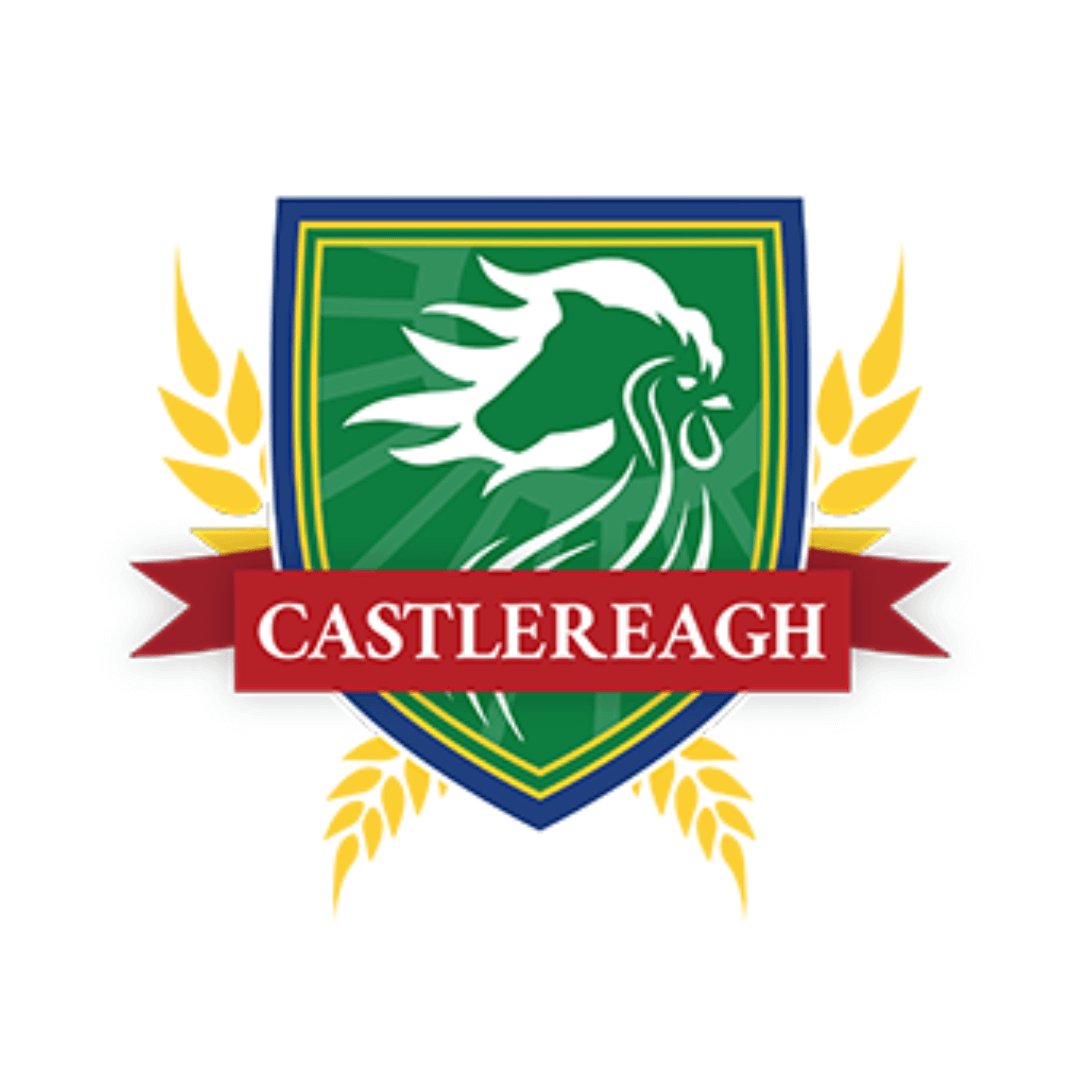 Castlereagh – Erins Quality Outdoor Power Centre